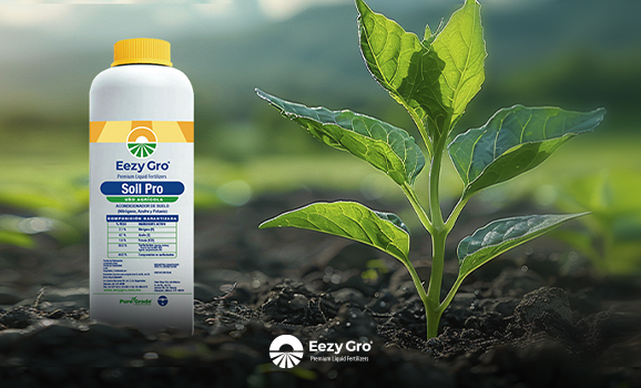 Soil Pro: Todo sobre este acondicionador de suelos de Eezy Gro - Eezy Gro